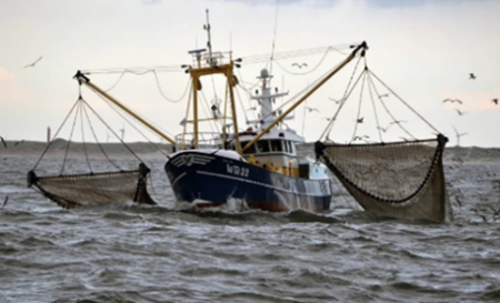 Stabilizing the future of beam trawlers